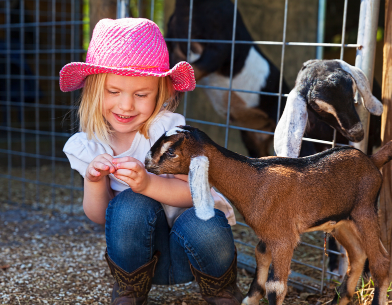 Raising Goats Can Lead to Four-Legged Best Friends - Goat Journal